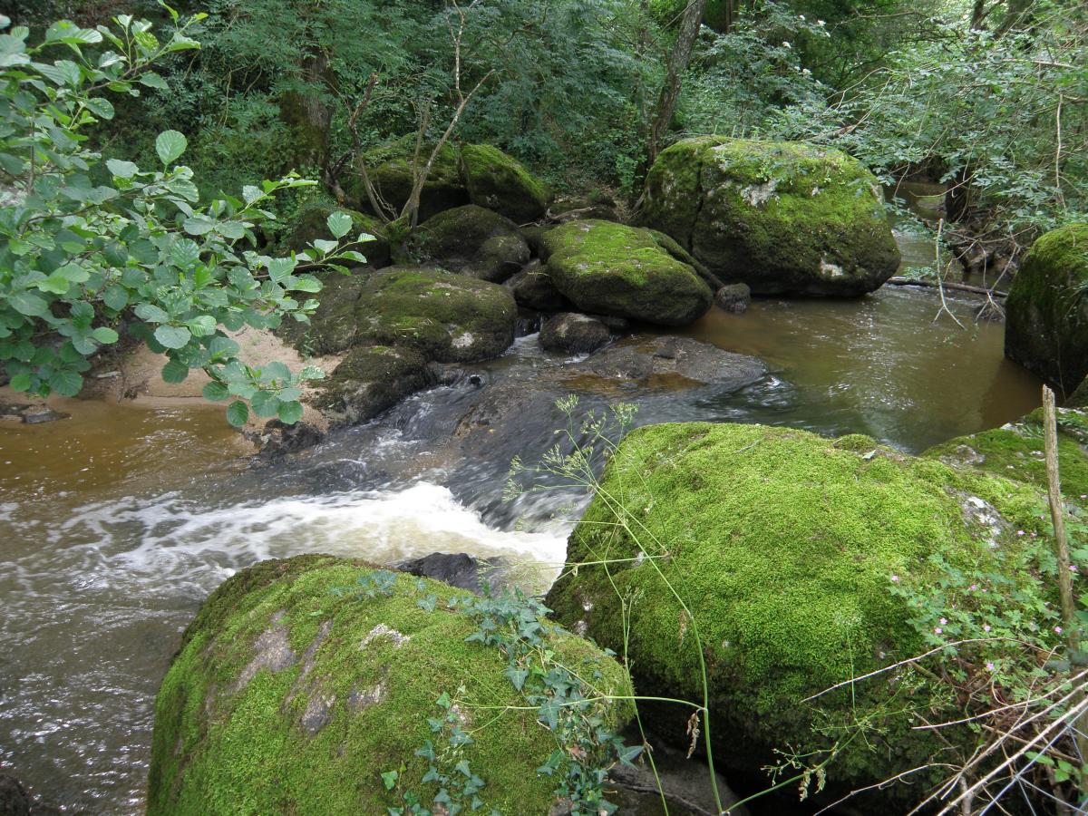 Contrat territorial | LES EAUX DU CEBRON